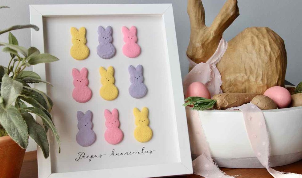 How To Make the Cutest Retro Peeps Botanical Wall Art - South House Designs