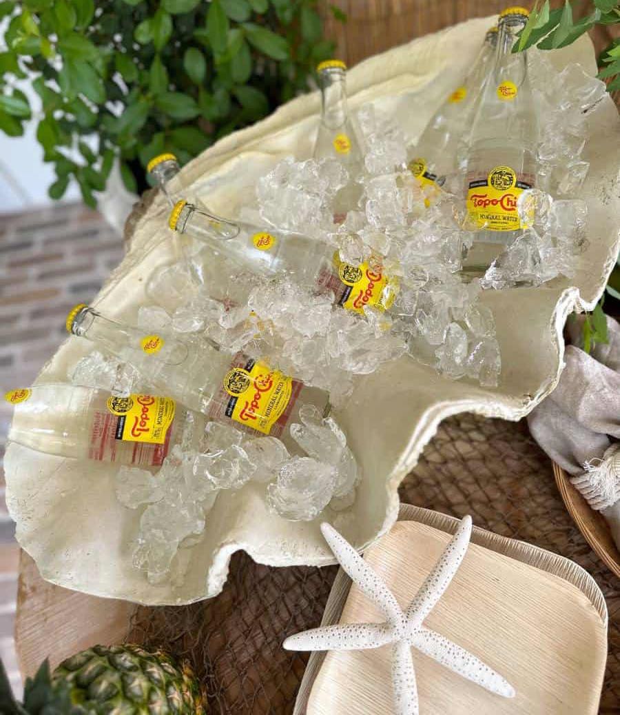 How To Add Sea Shells T0 Baskets for Easy Summer Decor - South House ...