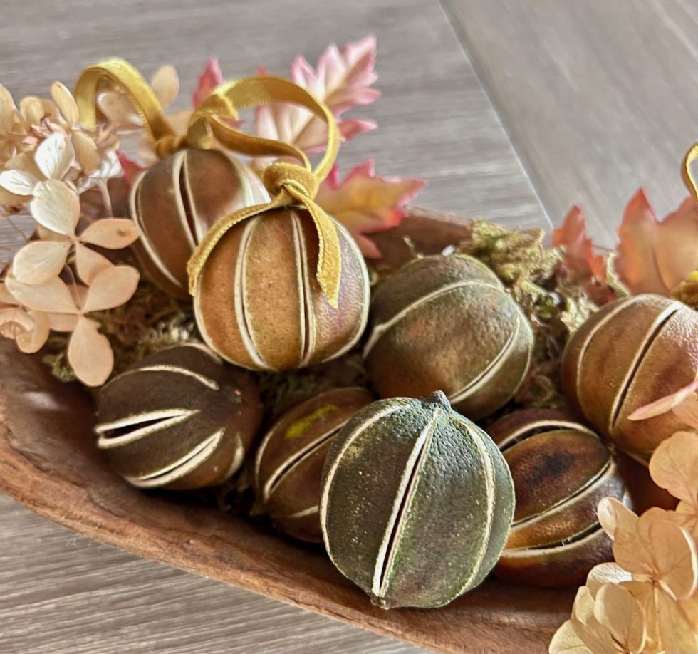 How to Dry Limes and Ideas to Use Your Dehydrated Limes - South House ...