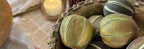 How to Dry Limes and Ideas to Use Your Dehydrated Limes - South House ...