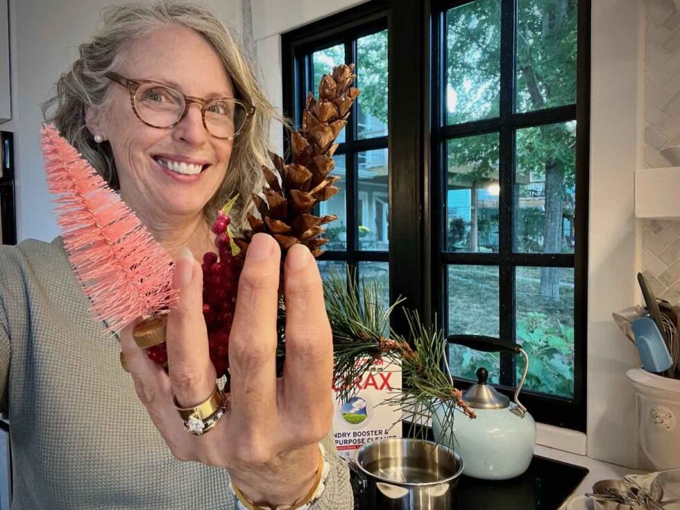 Can You Grow Crystals on Bottle Brush Trees? Yes! It's Easy! - South ...